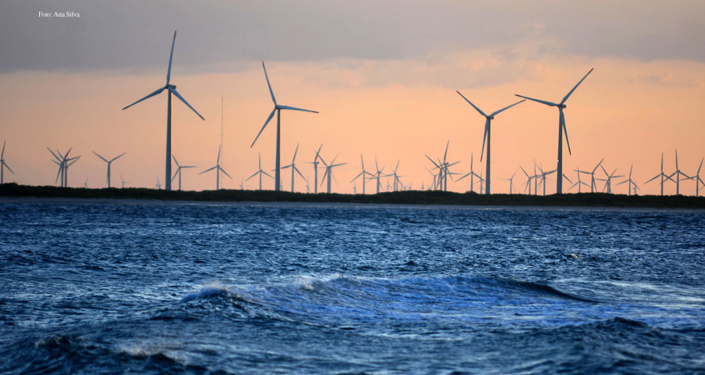 CTGAS-ER abre inscrições para seis cursos, na modalidade EAD, na área ...